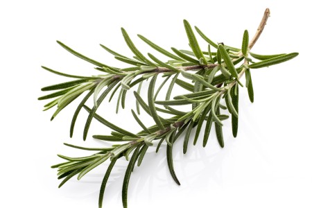 Extraits de romarin (Bio) (Extraits de romarin (Bio)) - FLAVEX ...